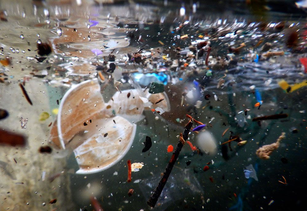 15 Million Tons of Microplastics Found in Deep Sea: Hidden Ocean ...
